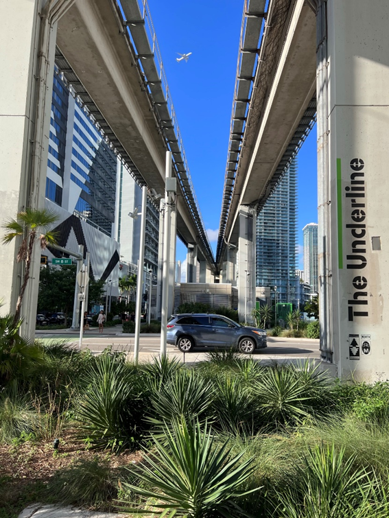 A space becomes a place in Miami — the Underline – People make Cities